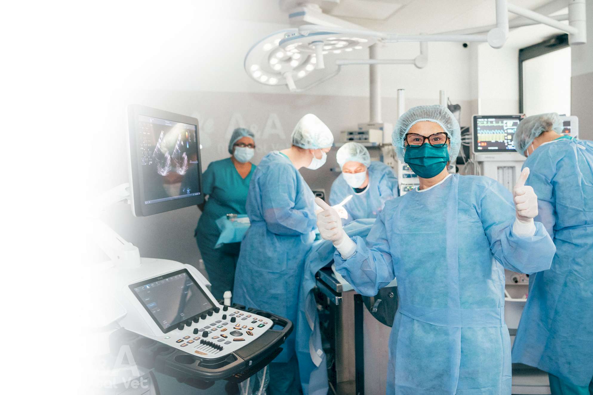 A&A Medical Vet :: A&A Medical Vet