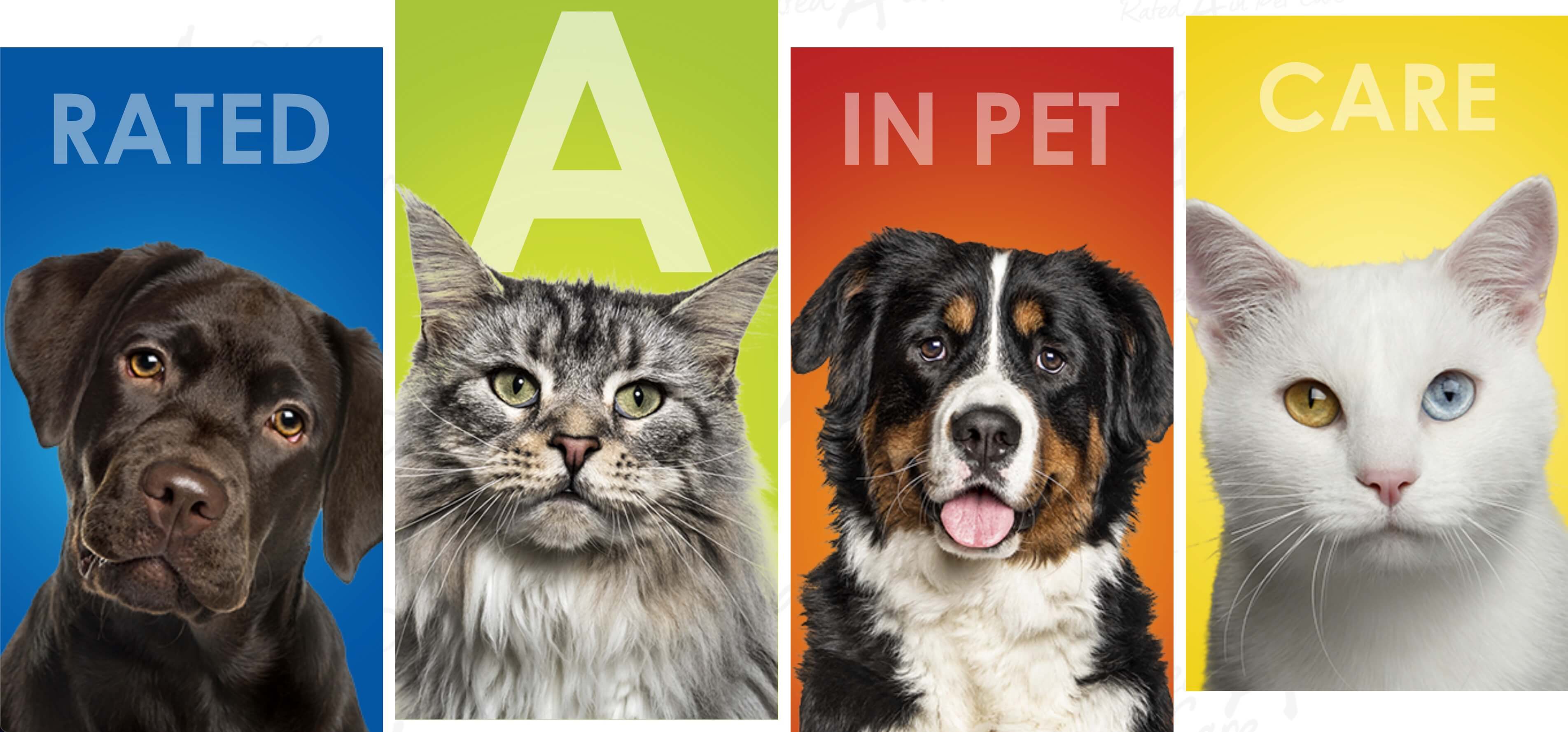 A&A Medical Vet :: A&A Medical Vet